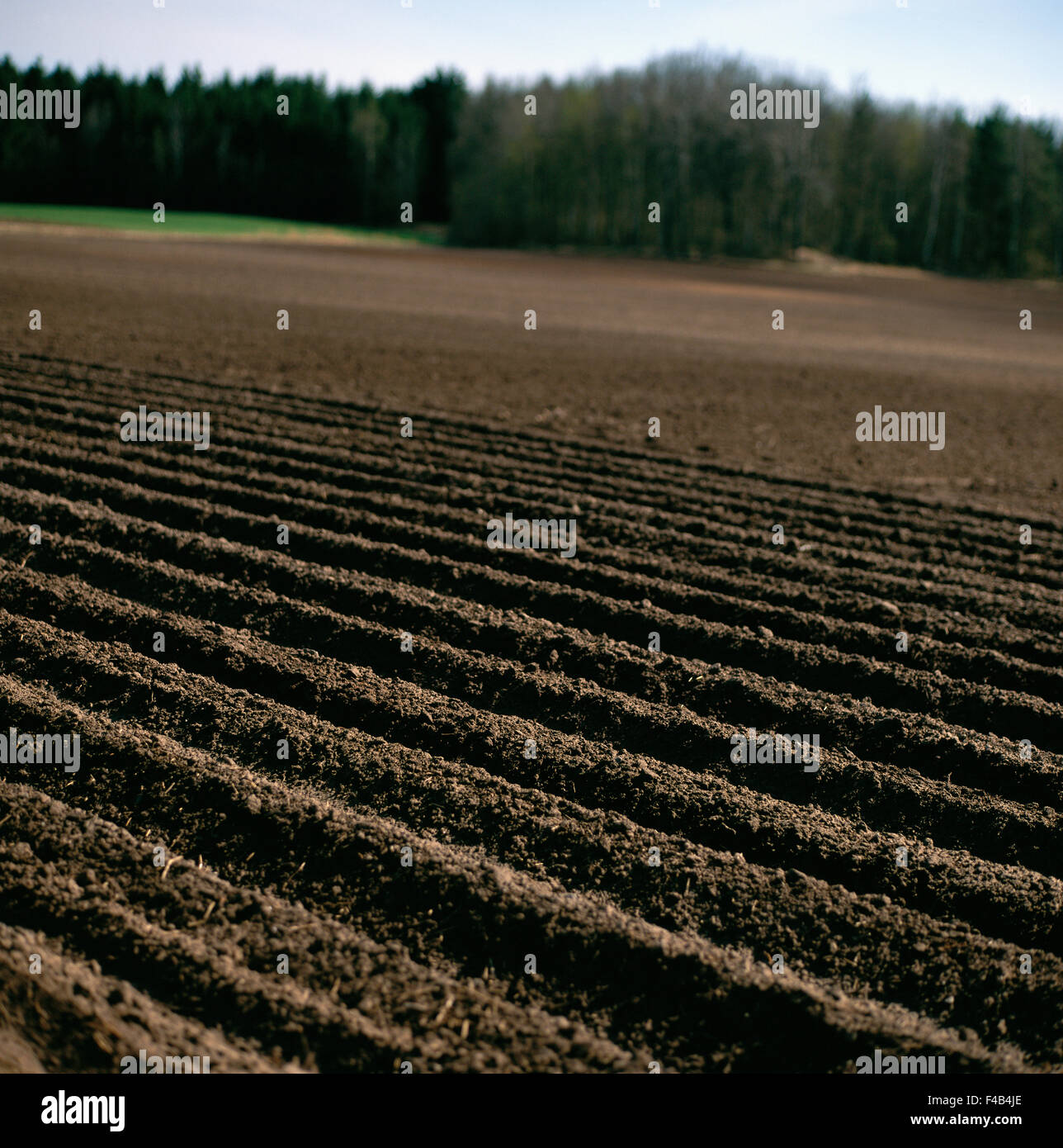 agriculture color image farmland field forest landscape mud nature ...