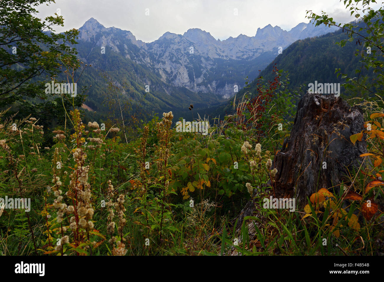 Vellacher Kotschna, Karawanks, Alps, Austria Stock Photo - Alamy