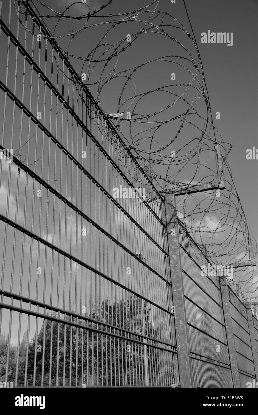 Wire landscape Black and White Stock Photos & Images - Alamy