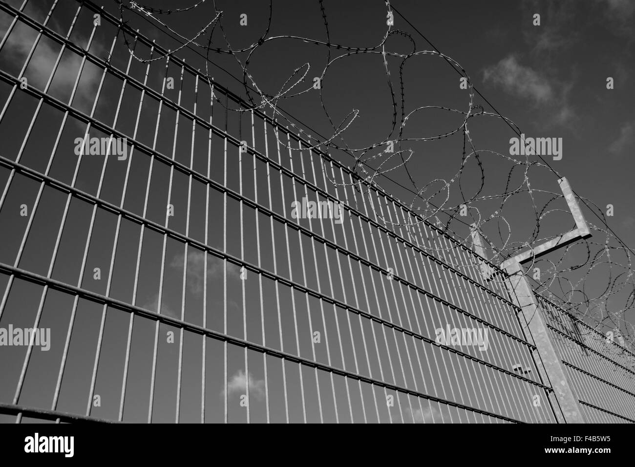 Barbed wire on a fence Stock Photo - Alamy