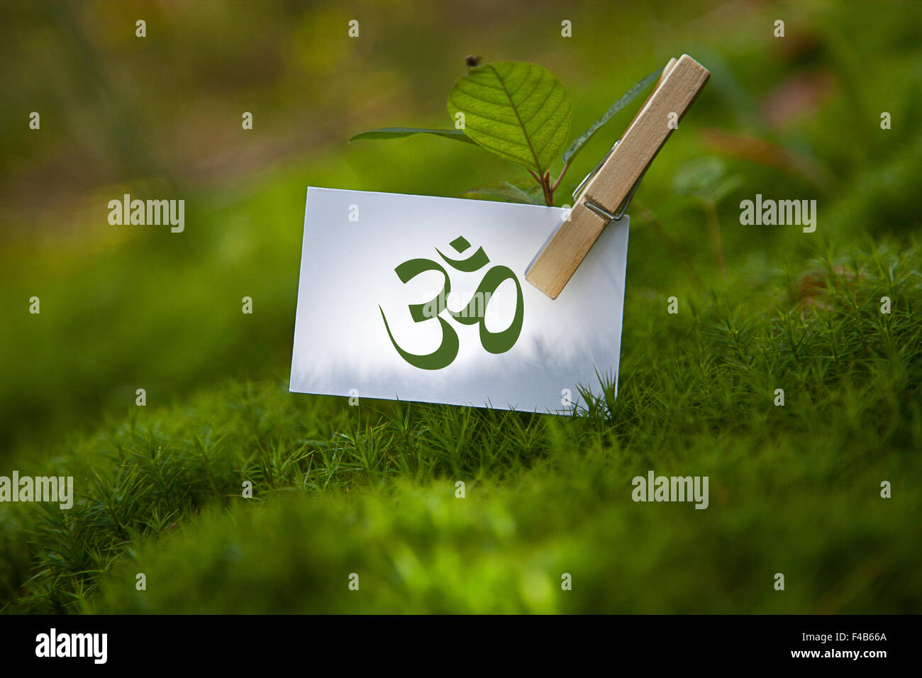 Om-Symbol on paper with a seedling Stock Photo - Alamy