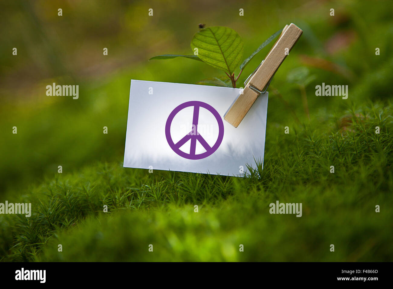 Peace-Symbol on paper with a seedling Stock Photo - Alamy