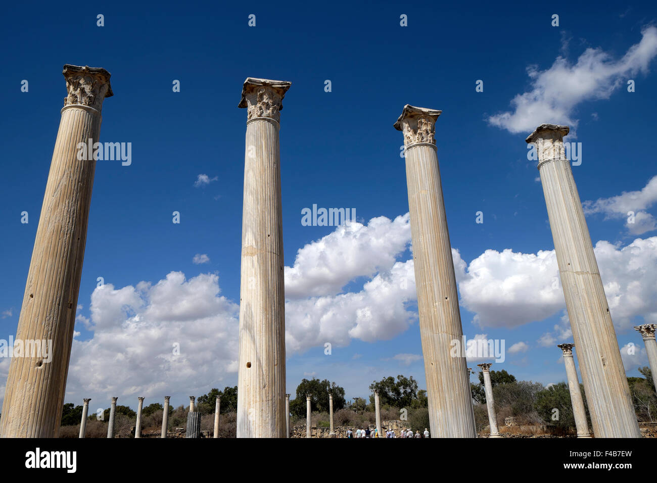 Row of pillars in the ancient Roman ruins city of Salamis, Famagusta ...