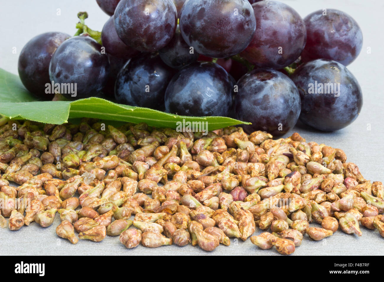 Grape seed hi-res stock photography and images - Alamy