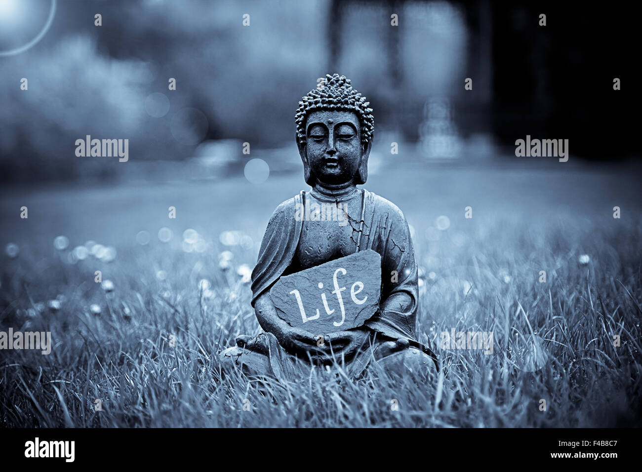 The word Life with Buddha Statue Stock Photo - Alamy