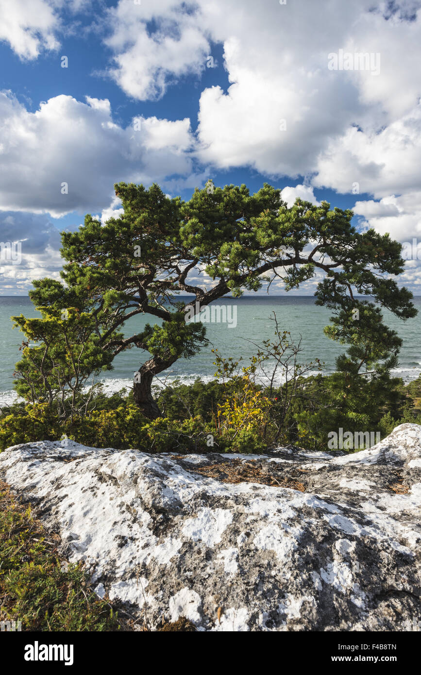 Provinz gotland hi-res stock photography and images - Alamy