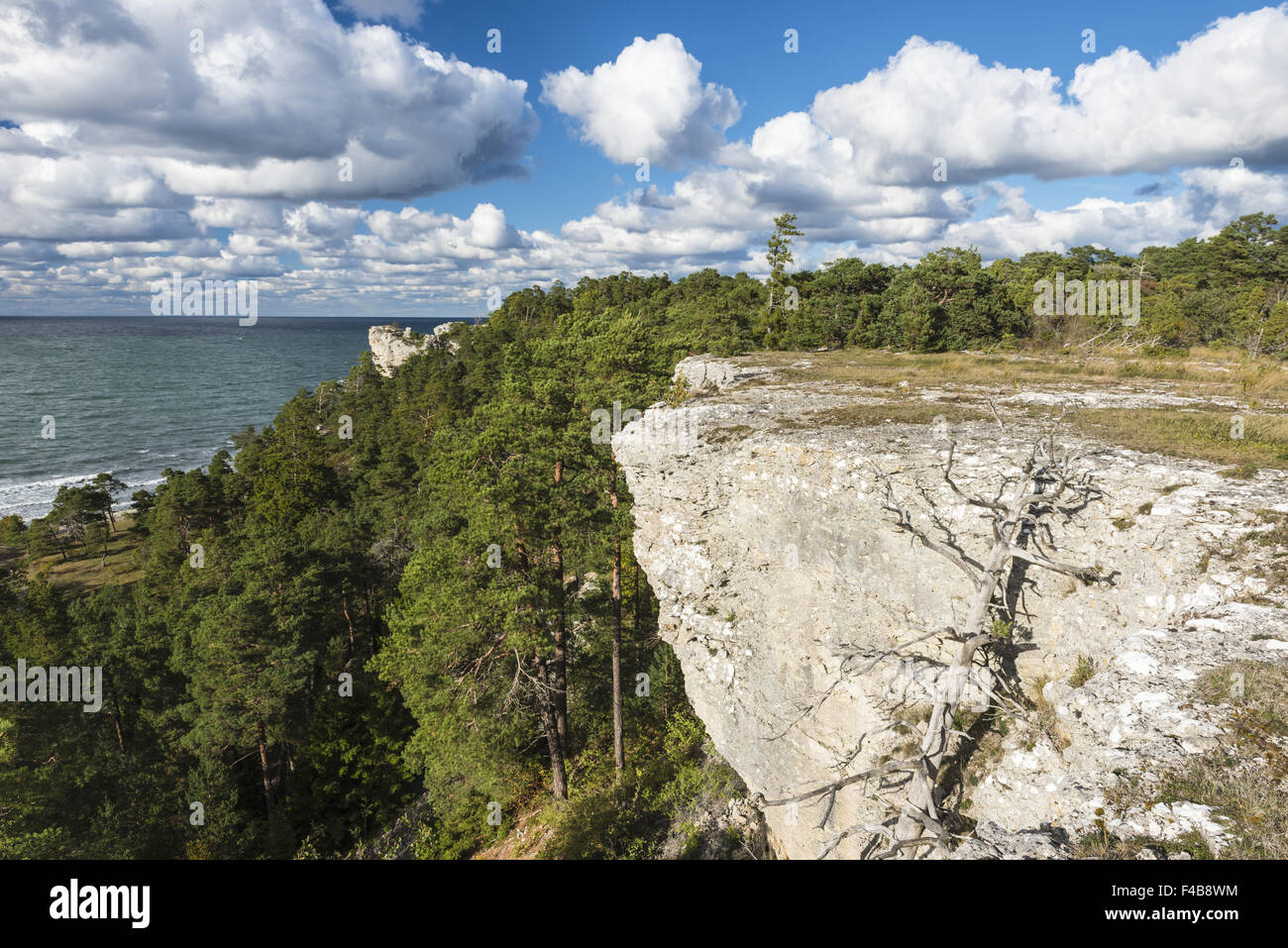 coast landscape, Gotland, Sweden Stock Photo - Alamy