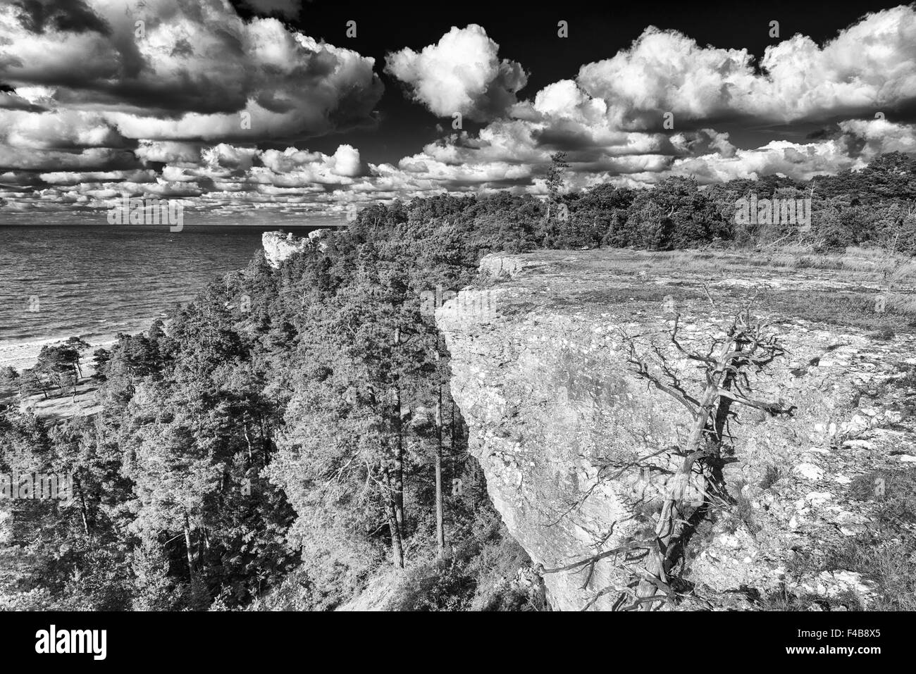 coast landscape, Gotland, Sweden Stock Photo - Alamy