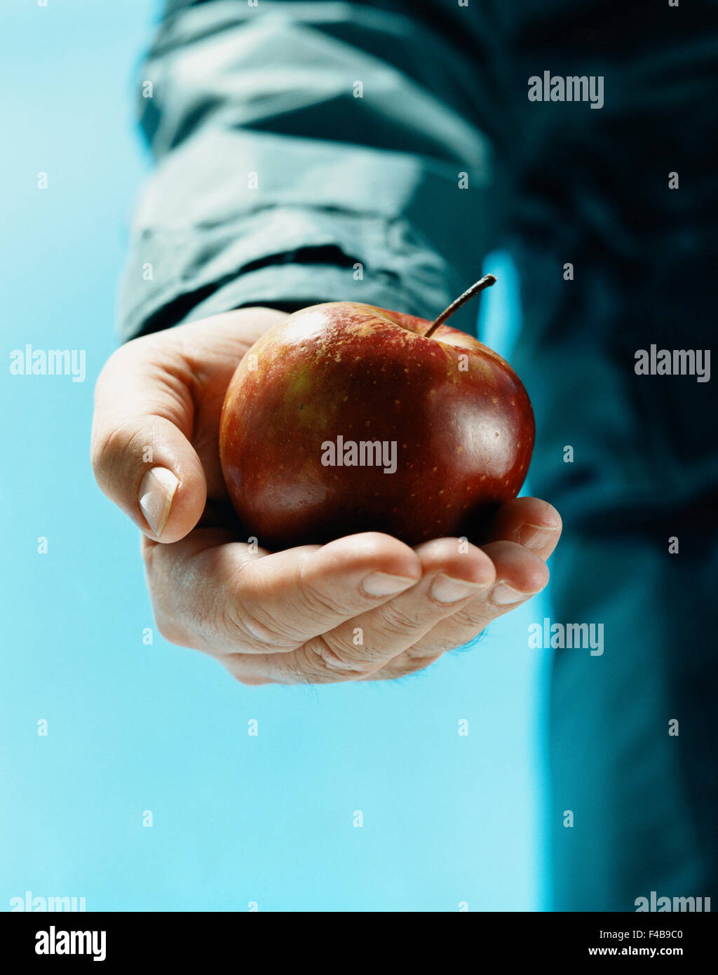 apple body part part of catalogue 2 close-up color image detail fruits ...