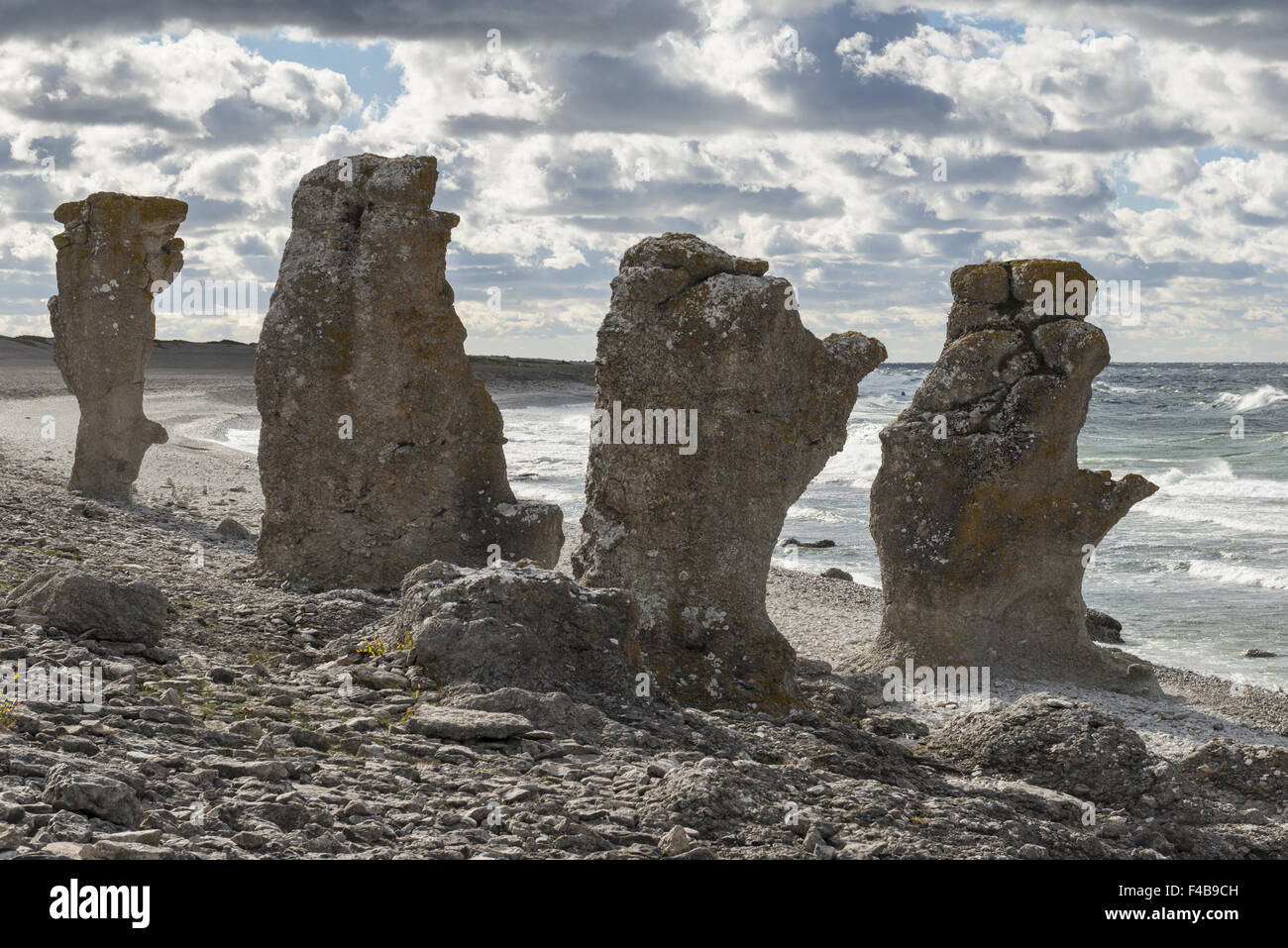 limestone rocks, Gotland, Sweden Stock Photo - Alamy