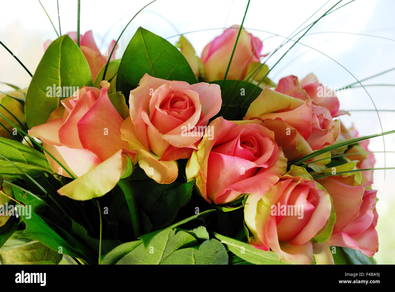 bunch of roses Stock Photo - Alamy
