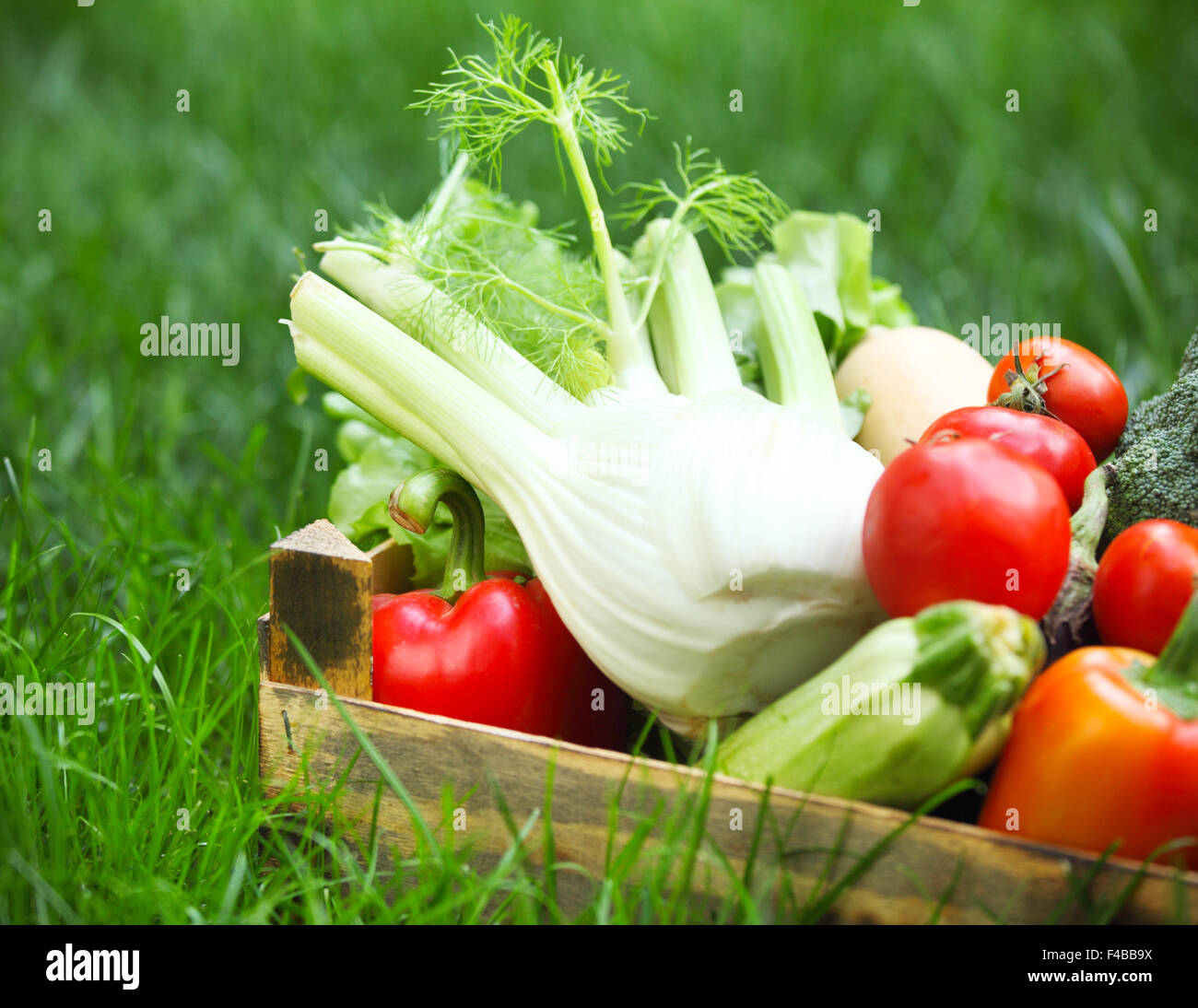 Box fresh vegetables fruit close hi-res stock photography and images ...