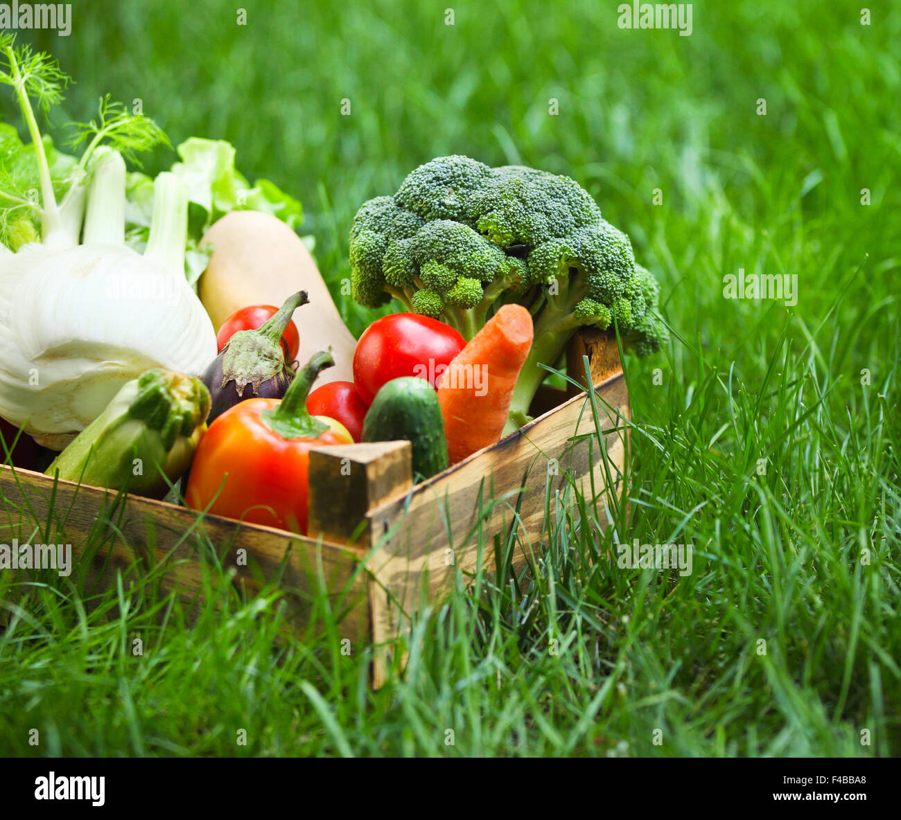Fresh vegetables in the box Stock Photo - Alamy