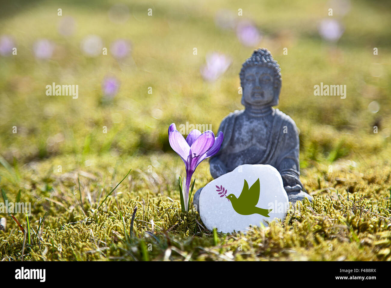 Symbol of Peace with Buddha Statue Stock Photo - Alamy