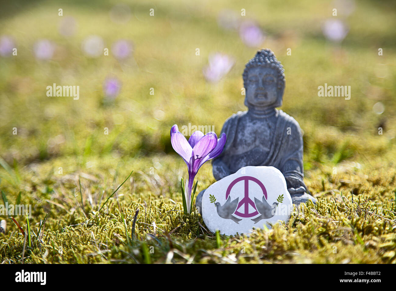 Symbol of Peace with Buddha Statue Stock Photo - Alamy