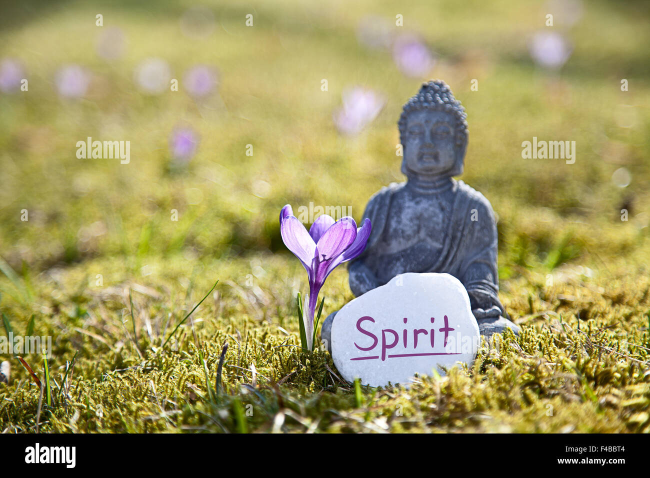 The word Spirit with Buddha Statue Stock Photo - Alamy