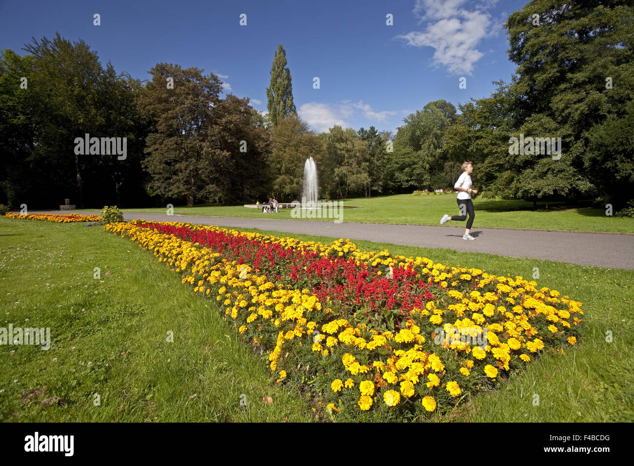 The city park Wattenscheid, Bochum, Germany Stock Photo - Alamy
