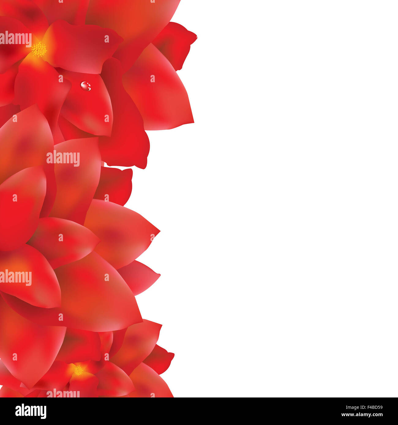 Red Flowers Border Stock Photo - Alamy