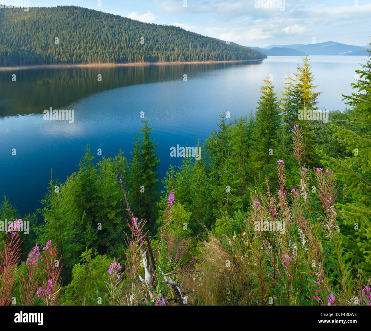 Alpine Lake Vidra summer view Stock Photo - Alamy