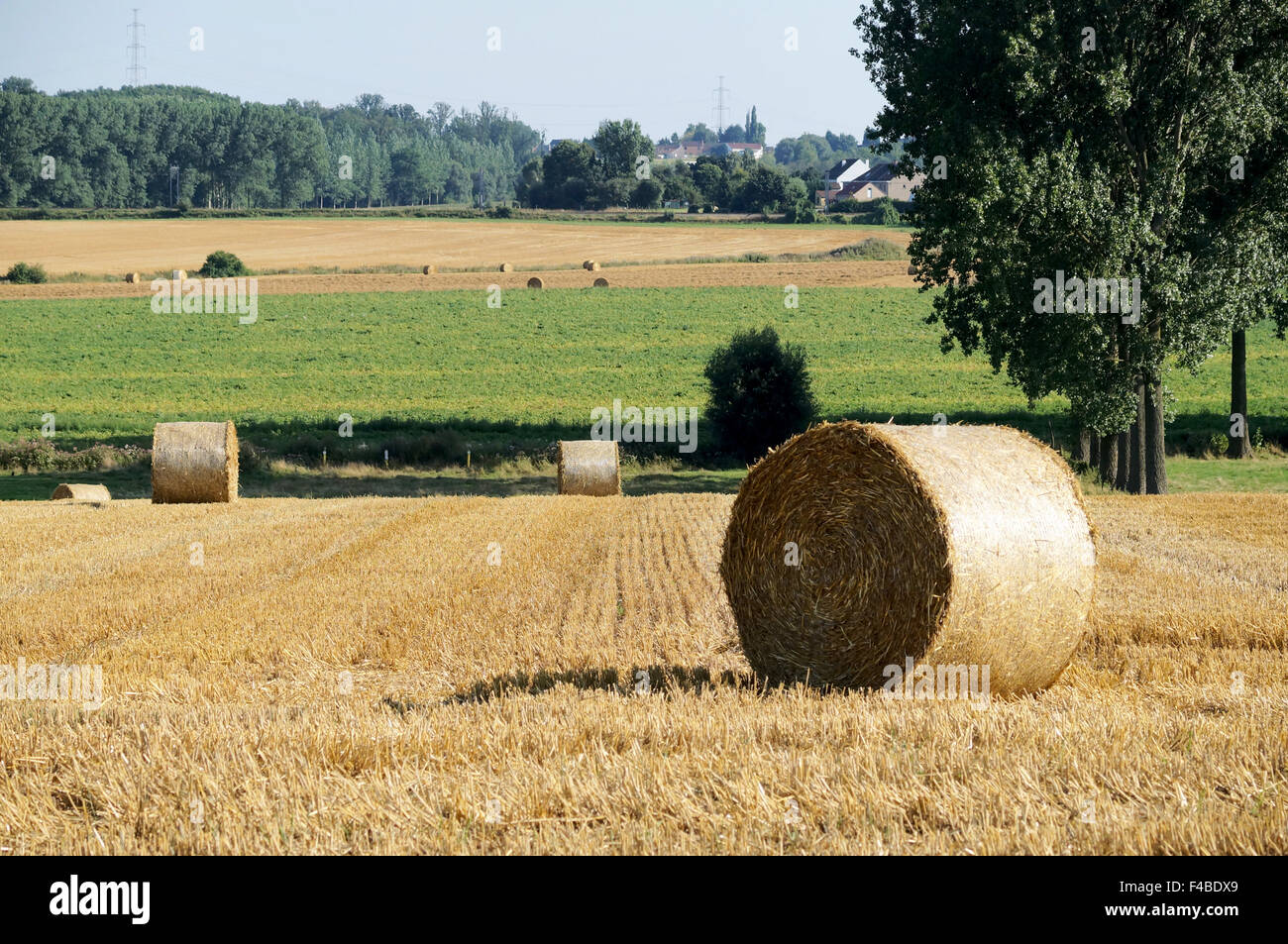 Straw roll hi-res stock photography and images - Alamy