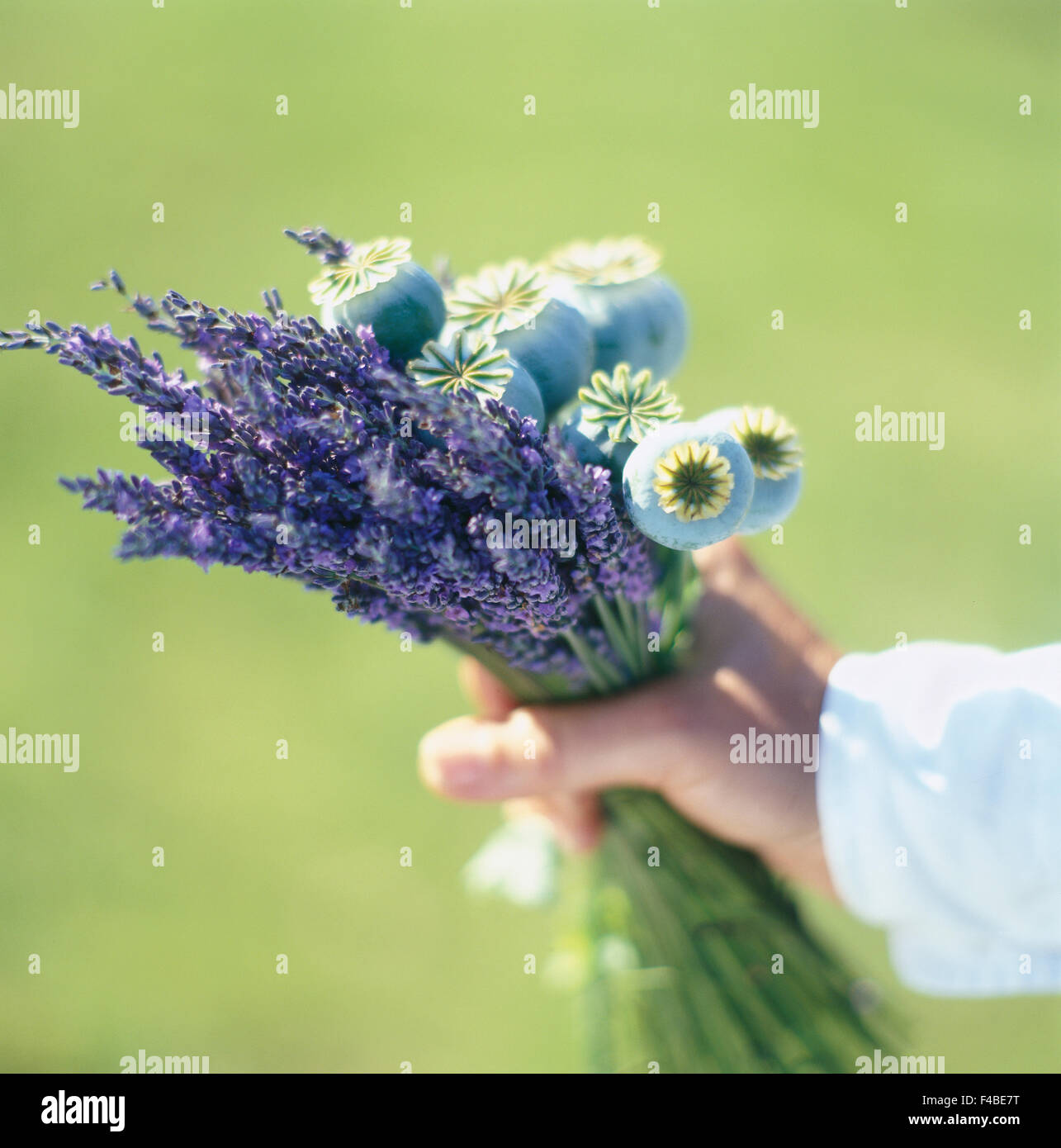 body part part of bouquet close-up color image detail flower human hand ...
