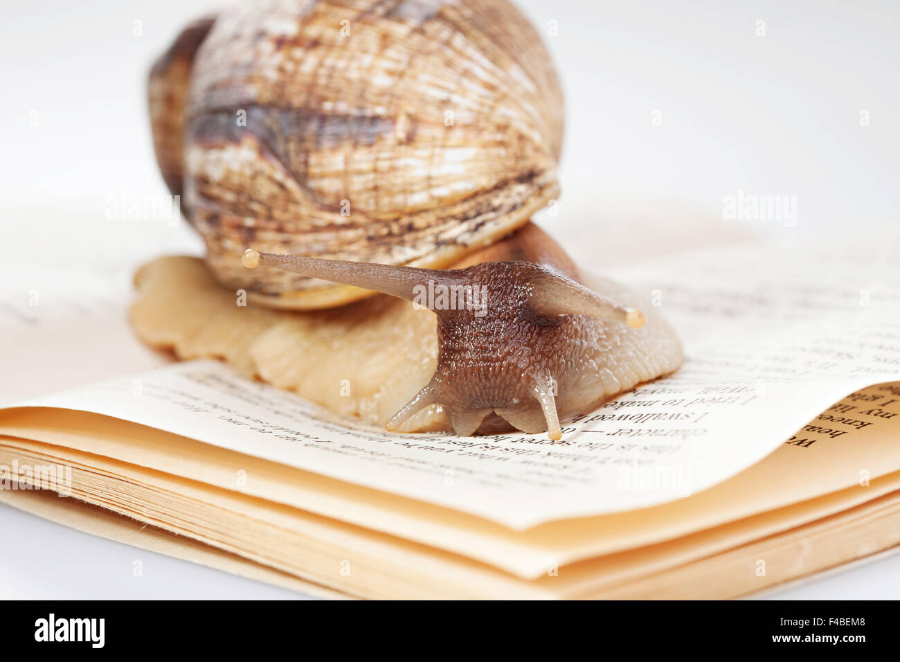 Moving book hi-res stock photography and images - Alamy