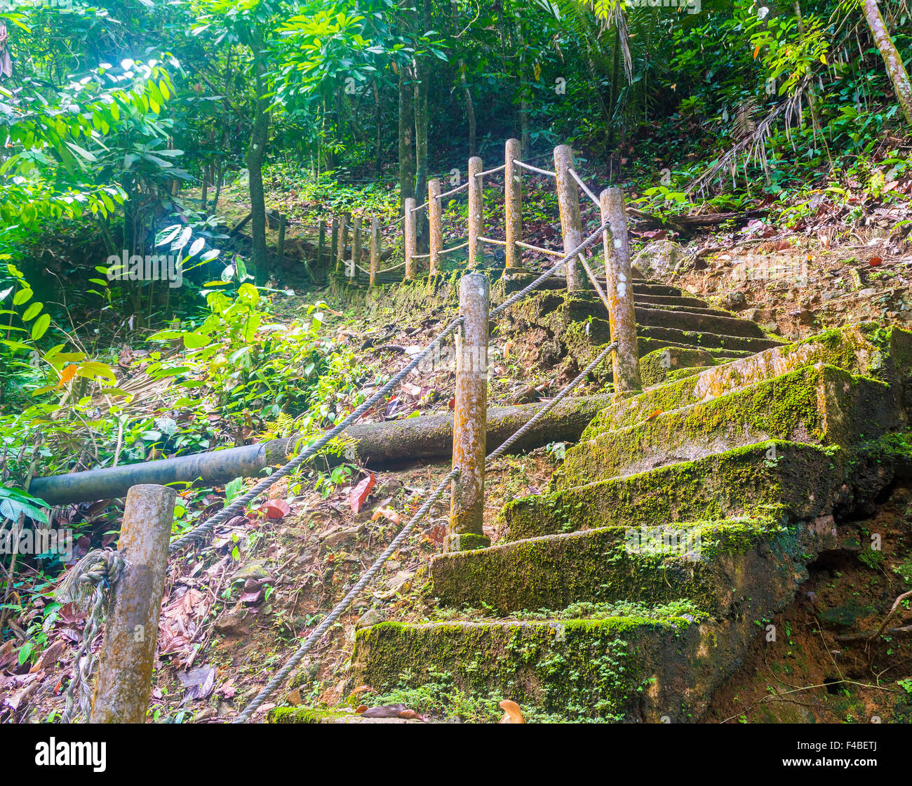 Suspended pathway hi-res stock photography and images - Alamy