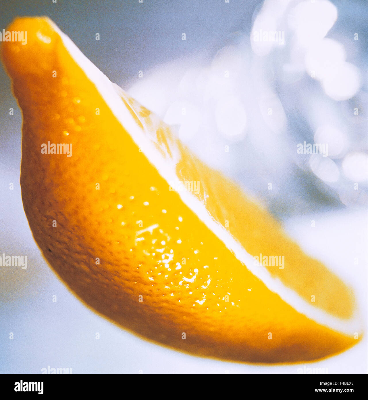 catalogue 2 citrus close-up color image detail fruit fruits and ...