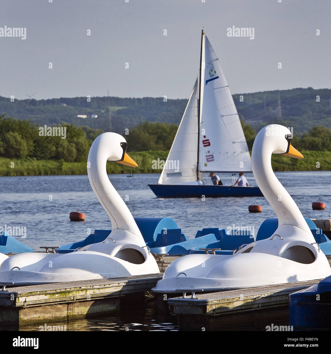 Pedal swan hi-res stock photography and images - Alamy