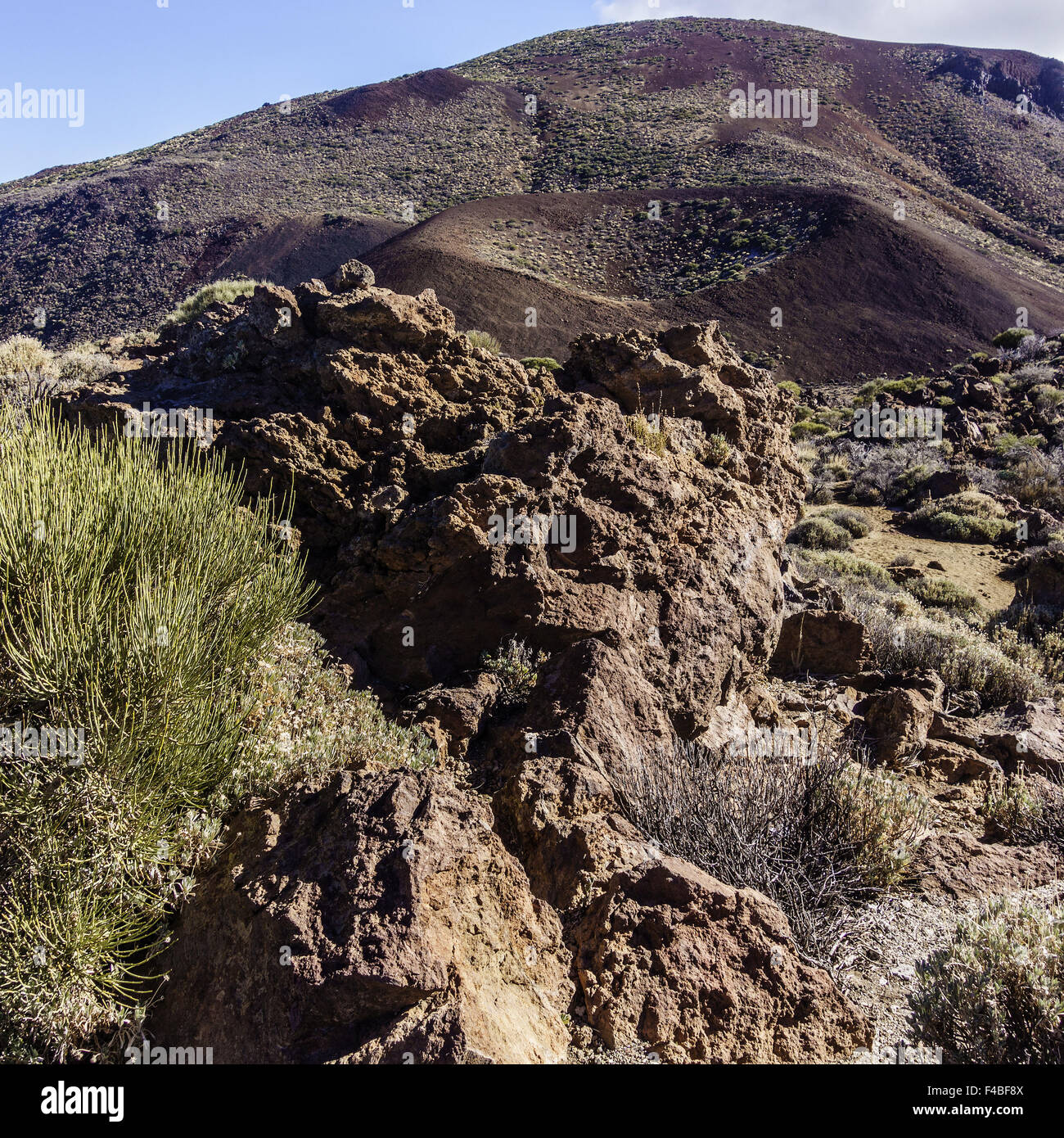 Volcanic Landscape Tenerife Canary Islands Stock Photo - Alamy