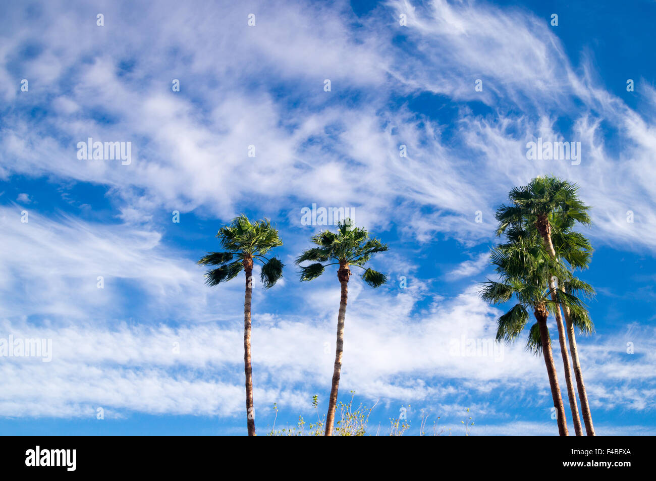 Tropical sky hi-res stock photography and images - Alamy