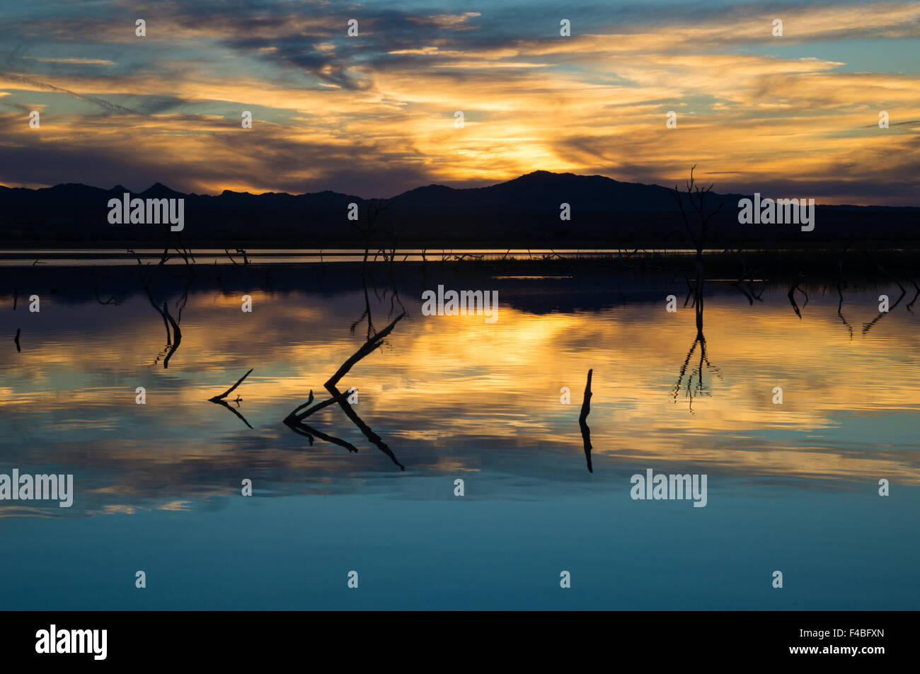 Glow on hi-res stock photography and images - Alamy
