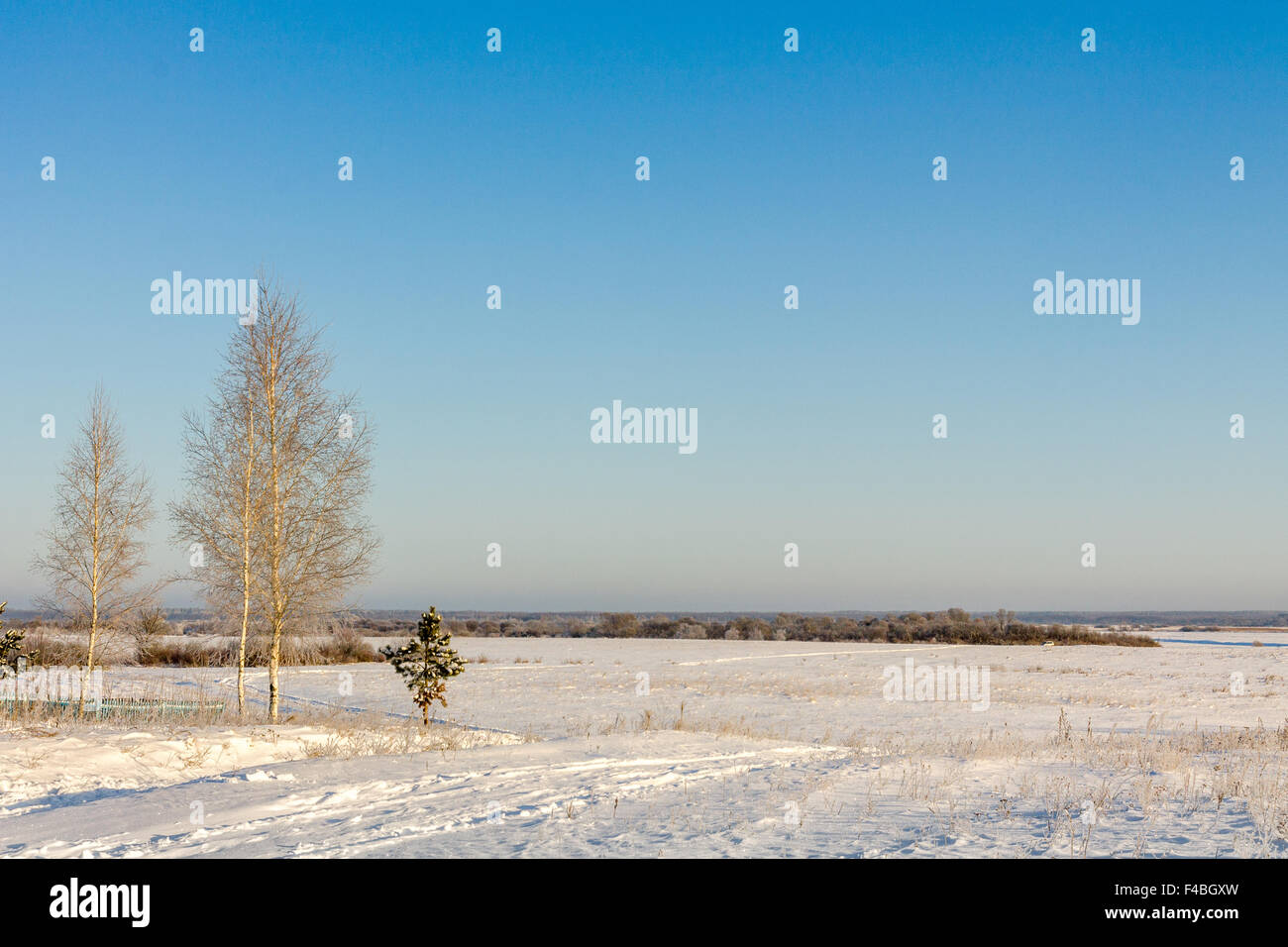 Sterile field hi-res stock photography and images - Alamy