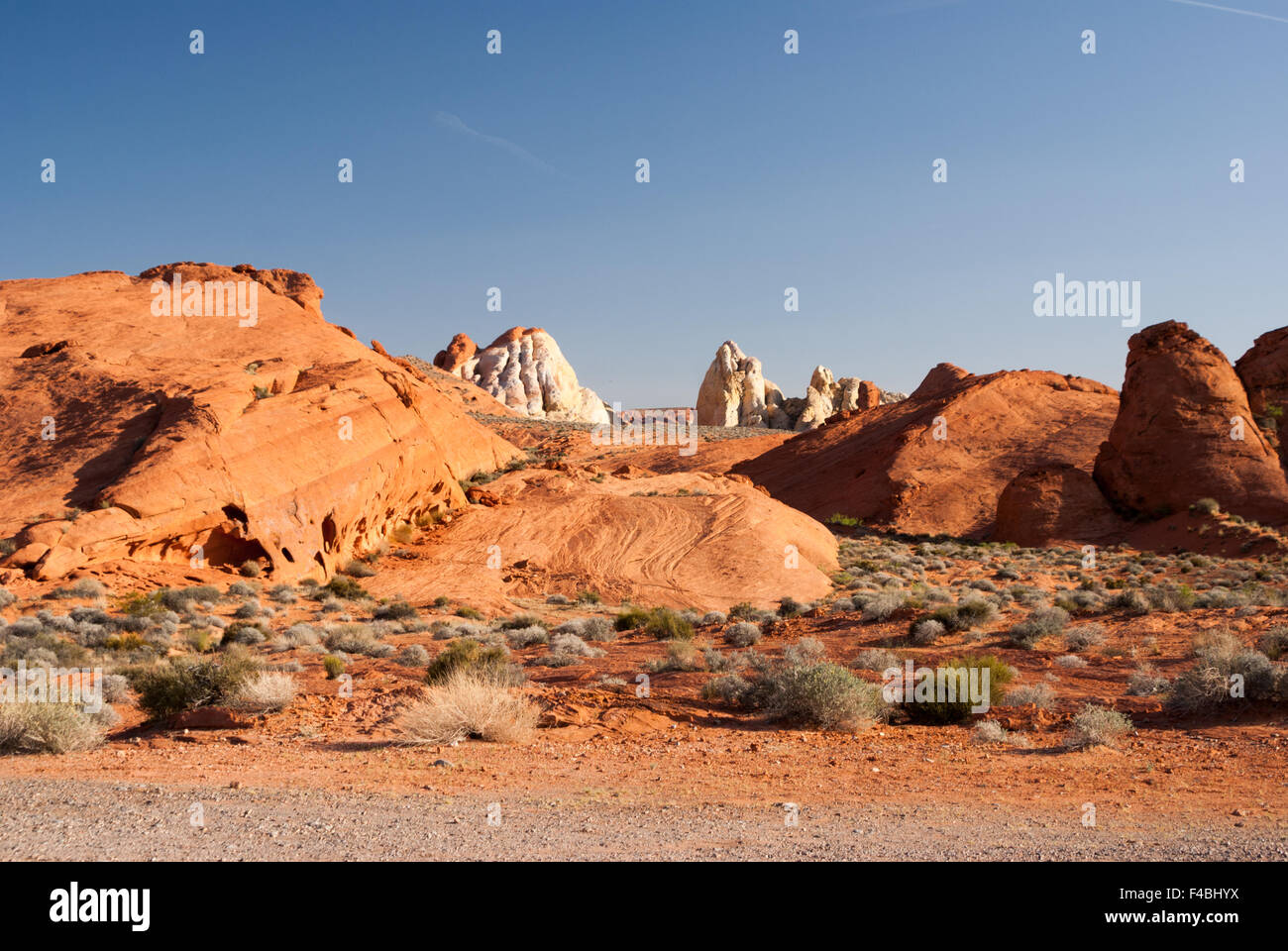 Desert stone texture hi-res stock photography and images - Alamy