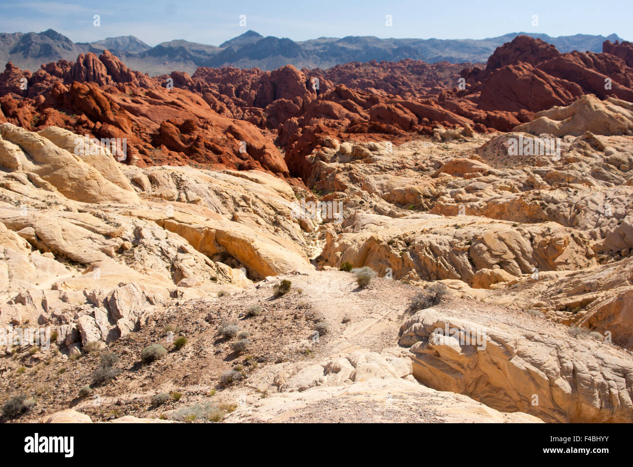 Cream sandstone hi-res stock photography and images - Alamy