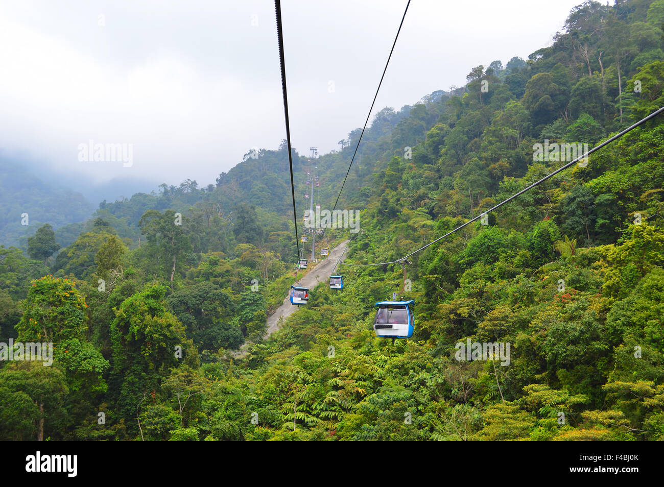 Jungle transport cable hi-res stock photography and images - Alamy