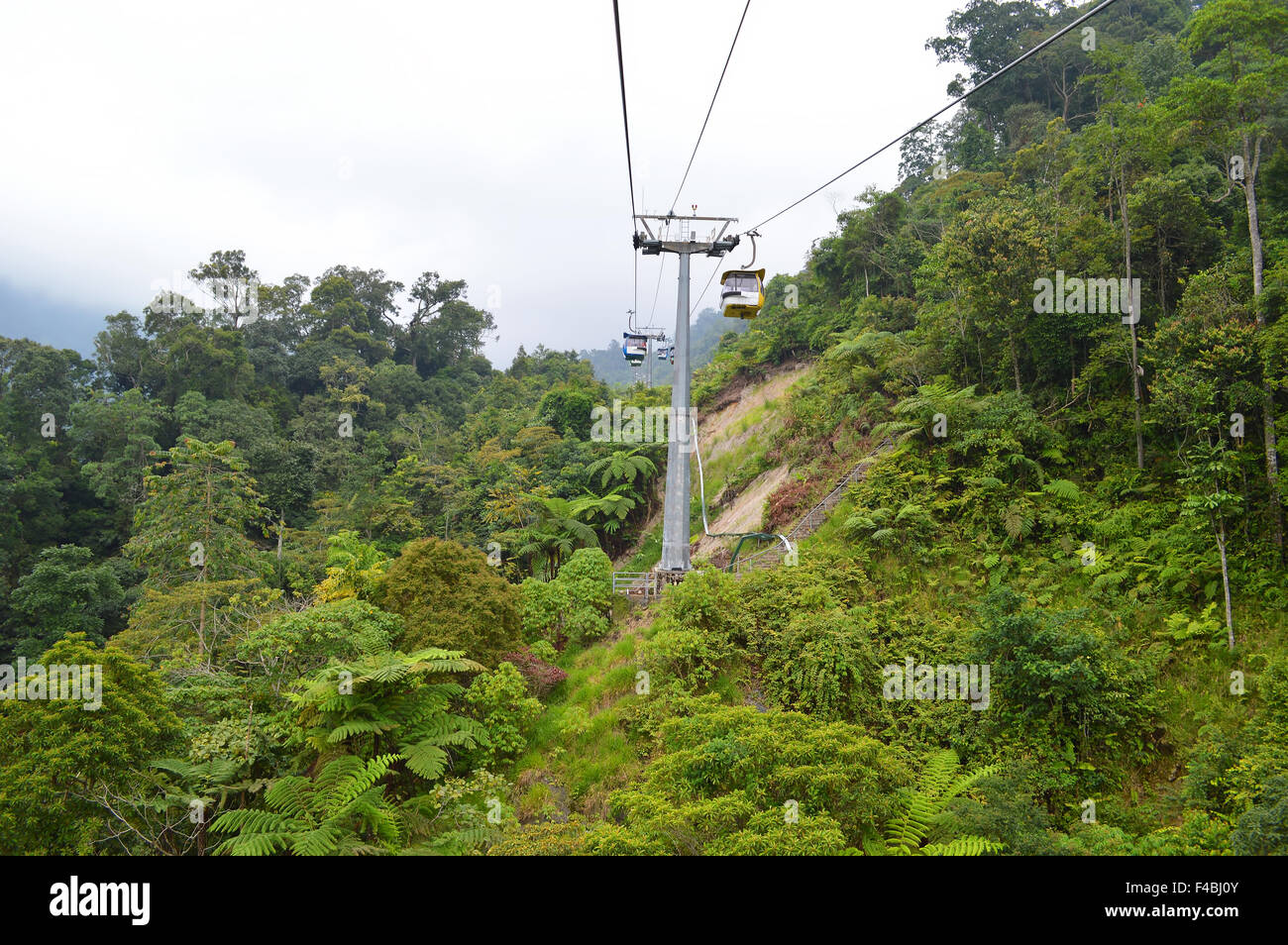 Jungle transport cable hi-res stock photography and images - Alamy
