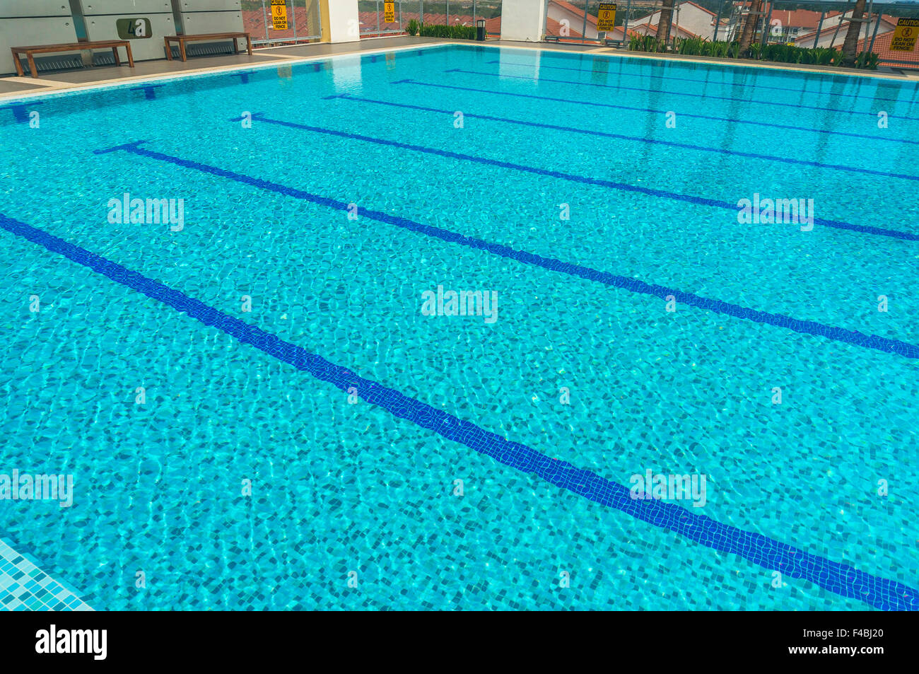 Line of swimming pool Stock Photo - Alamy