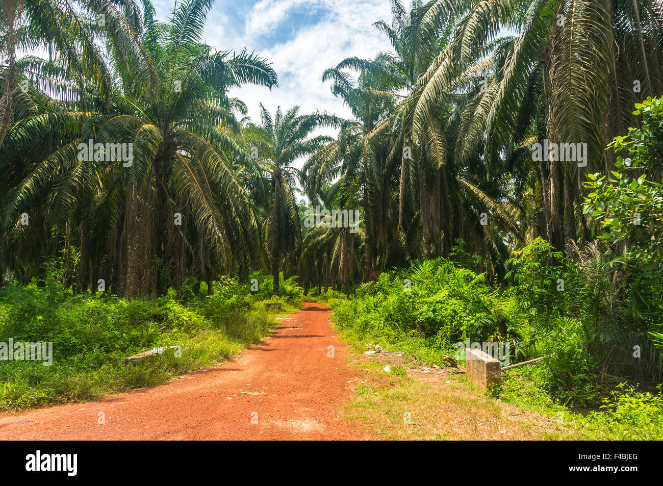Nut lane hi-res stock photography and images - Alamy