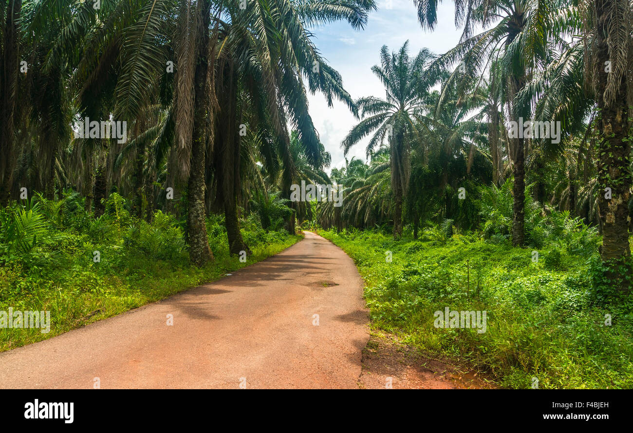 Nut lane hi-res stock photography and images - Alamy