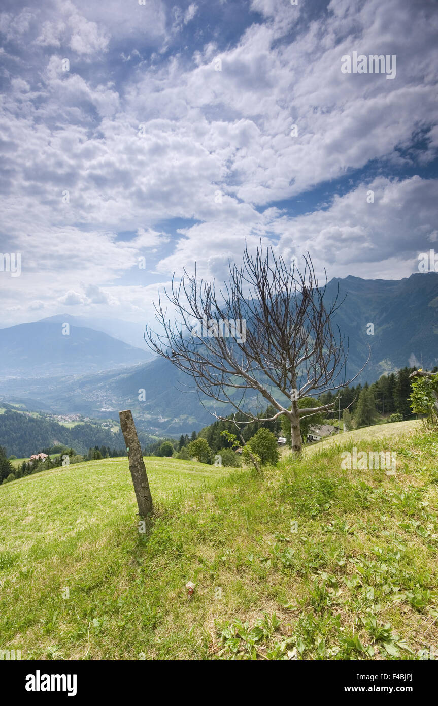 Pasture post hi-res stock photography and images - Alamy