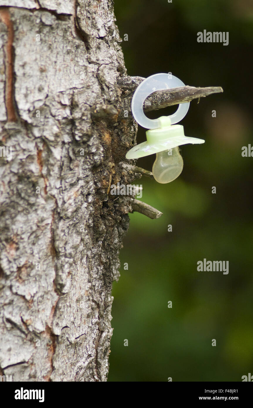 pacifier on the tree Stock Photo - Alamy
