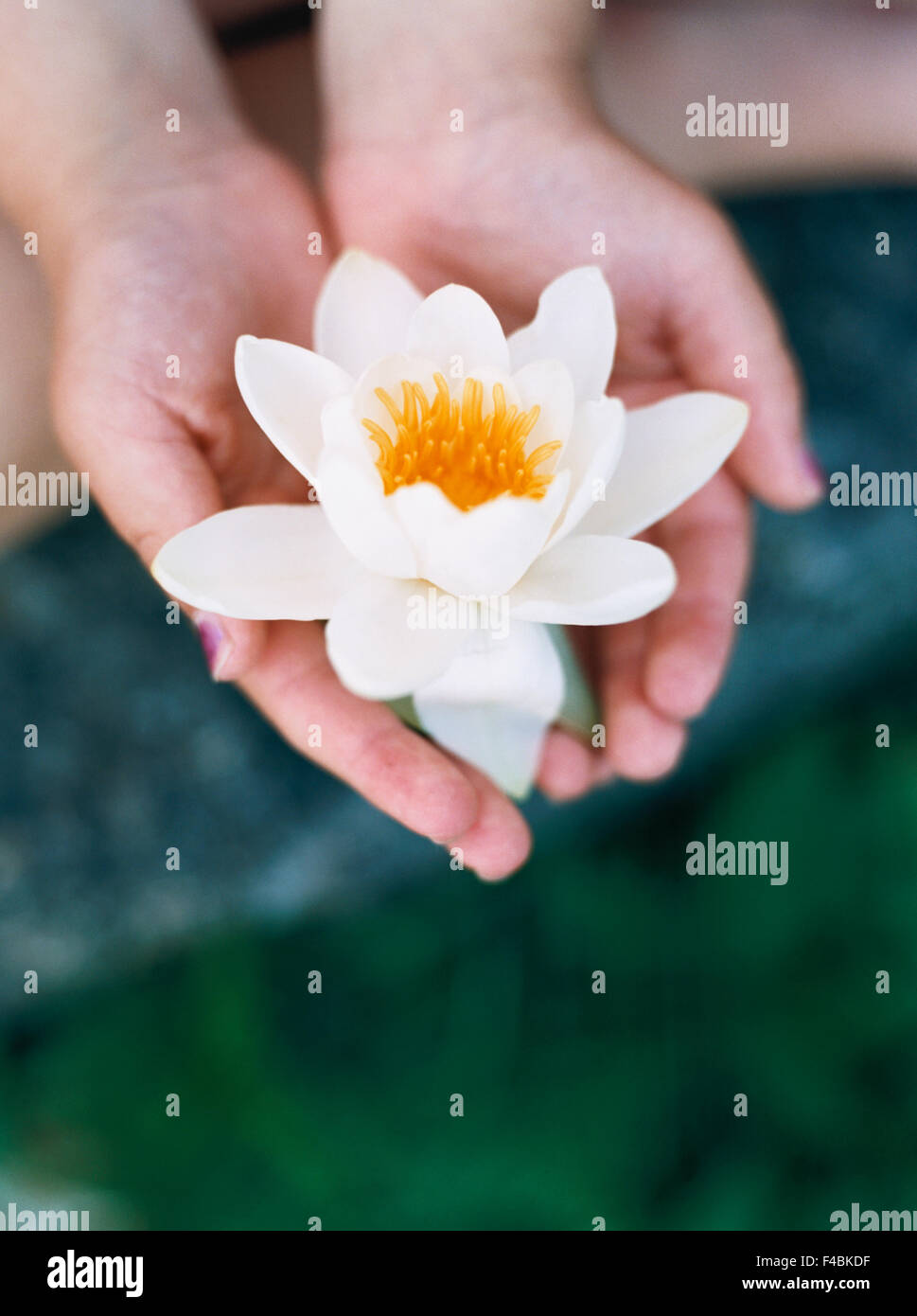 body part part of color image conceptual flower human hand part of ...
