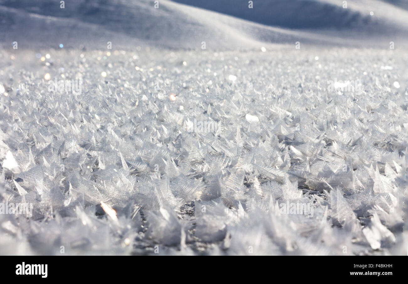 ice butterfly 1 Stock Photo - Alamy