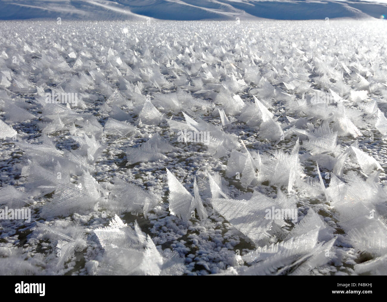 ice butterfly 2 Stock Photo - Alamy