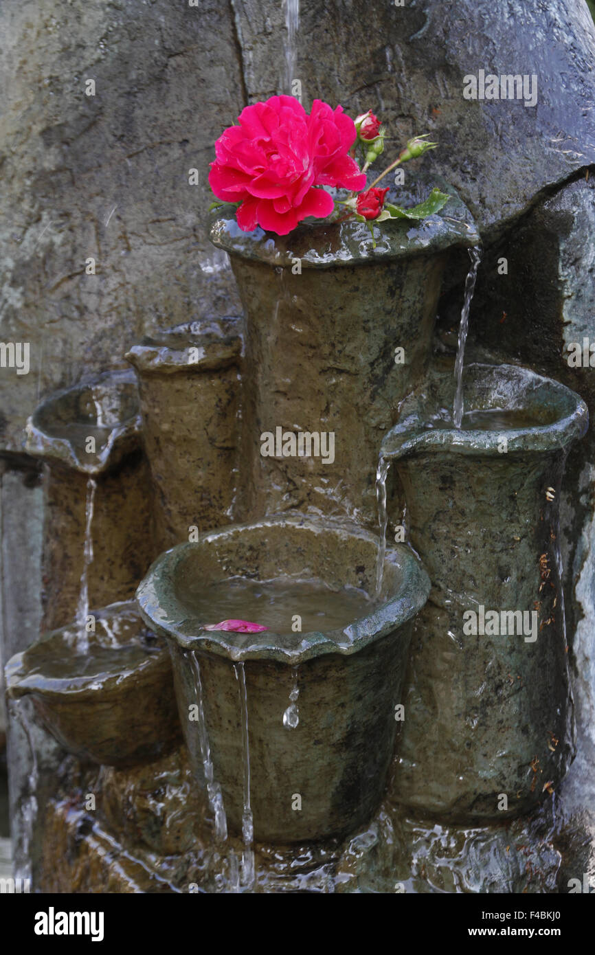 Rose well hi-res stock photography and images - Alamy