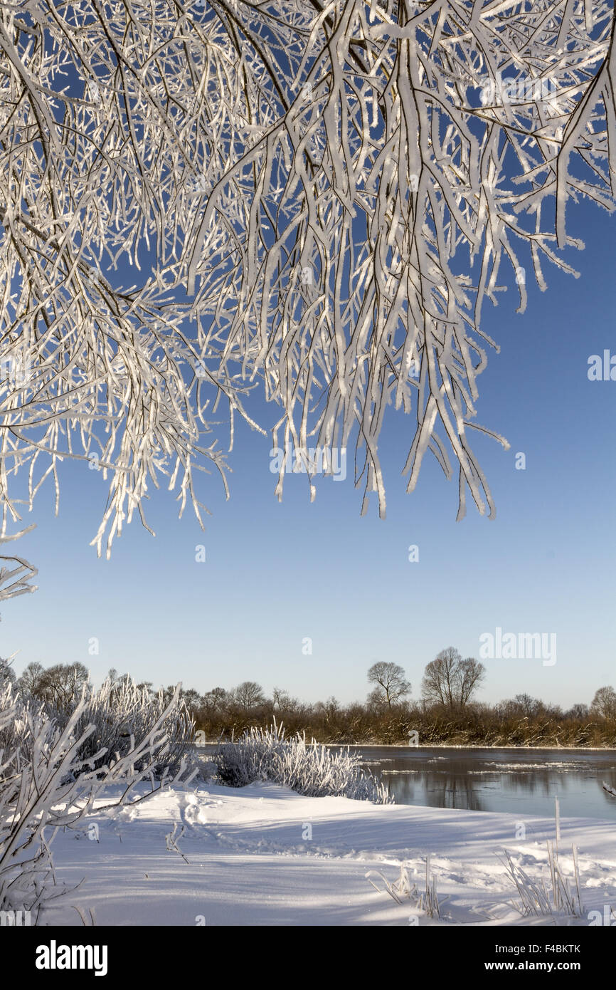 Lit by screen hi-res stock photography and images - Alamy