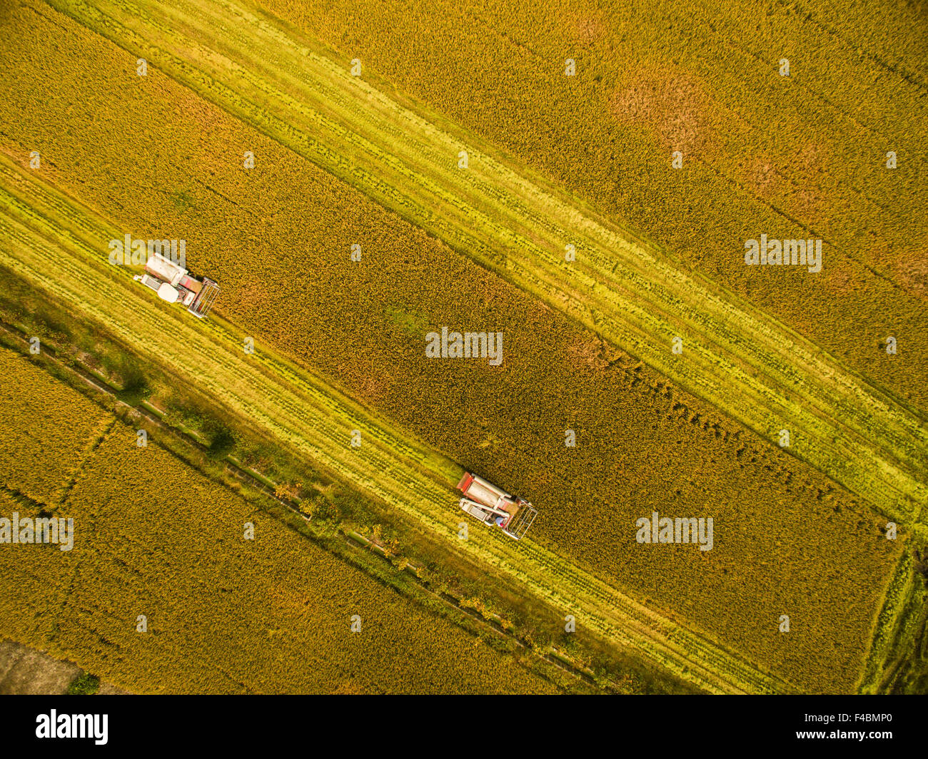 Reapers in the harvest field hi-res stock photography and images - Alamy