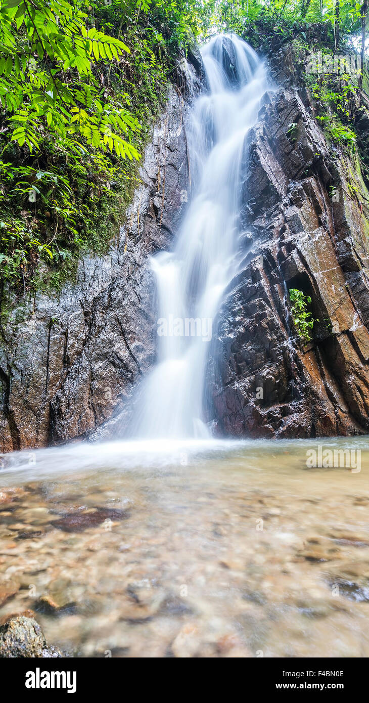 Natural water stream at deep of tropical forest Stock Photo - Alamy