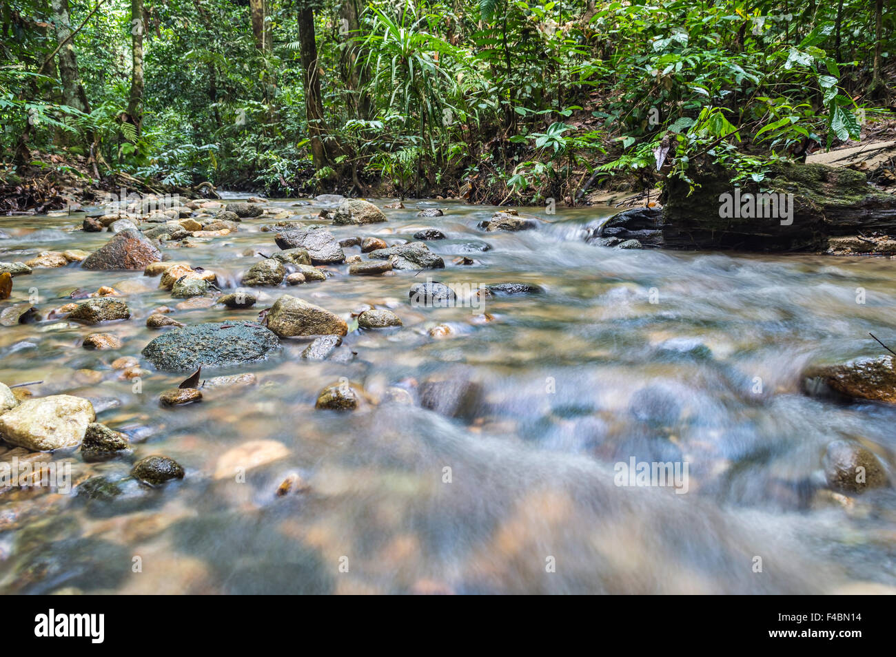 Natural water stream at deep of tropical forest Stock Photo - Alamy